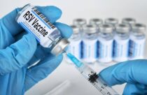 Roma, morte Francesca Ianni travolta da un albero: due indagati a ...